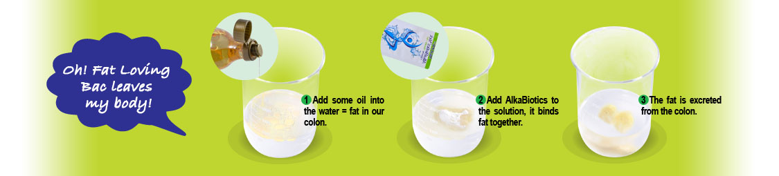 “Slim Bacteria” Fat-Reducing Probiotic